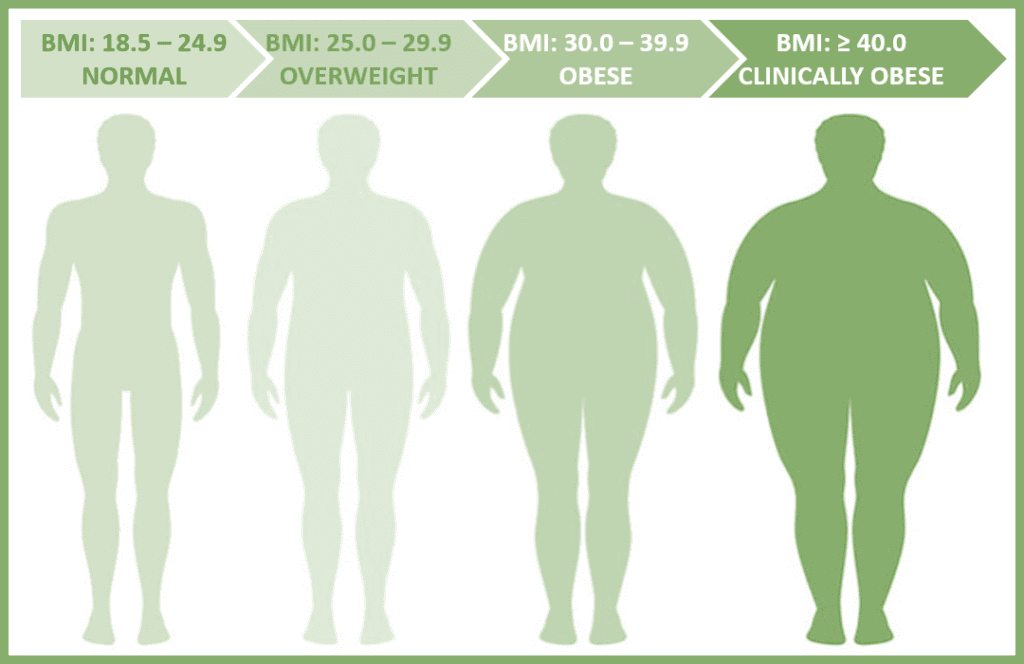 Obesity The Mother Of Most Chronic Conditions Ageingray Obesity The Mother Of Most Chronic Conditions Ageingray