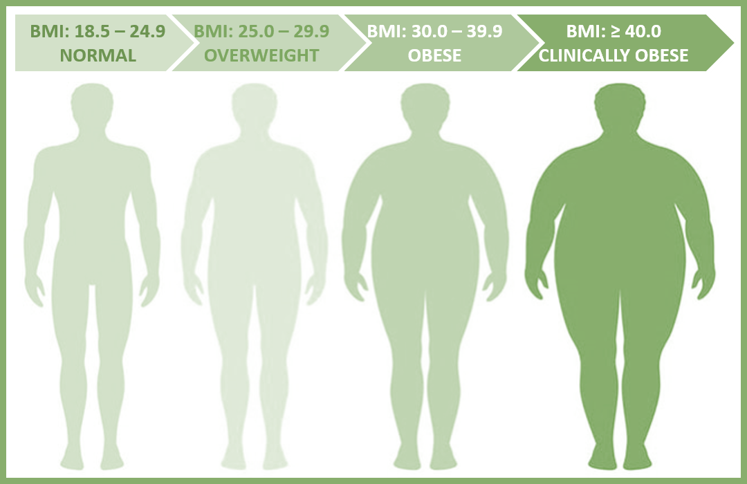 Obesity The Mother Of Most Chronic Conditions Ageingray Obesity The Mother Of Most Chronic Conditions Ageingray